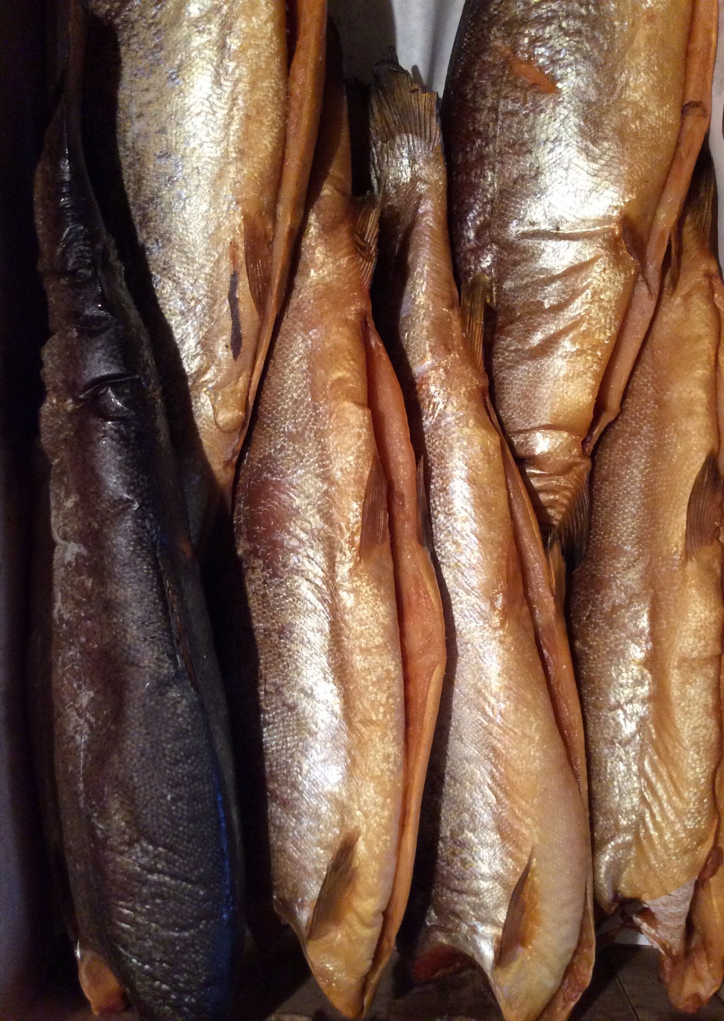 Baby Salmon Whole Piece Cold Smoked – Ocean Fresh Inc