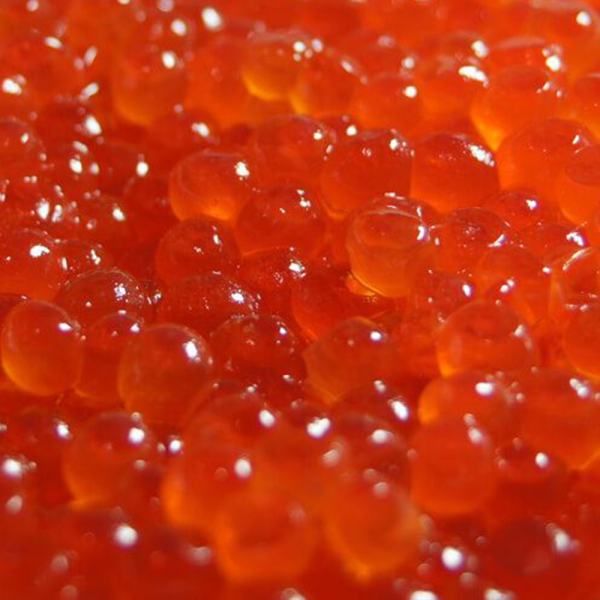 Products – Ocean Fresh Inc